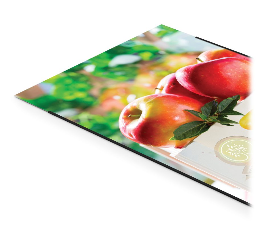 Paper/Card Stock SignBack Mounts - Display Stop